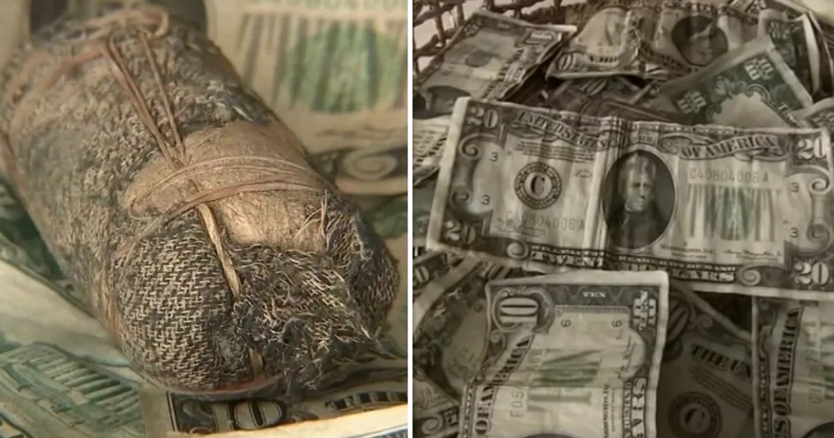 Couple Unearths a Stash of Cash in Their Front Yard, which Dates Back ...